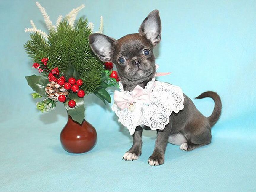 Очаровательная кукла в голубом