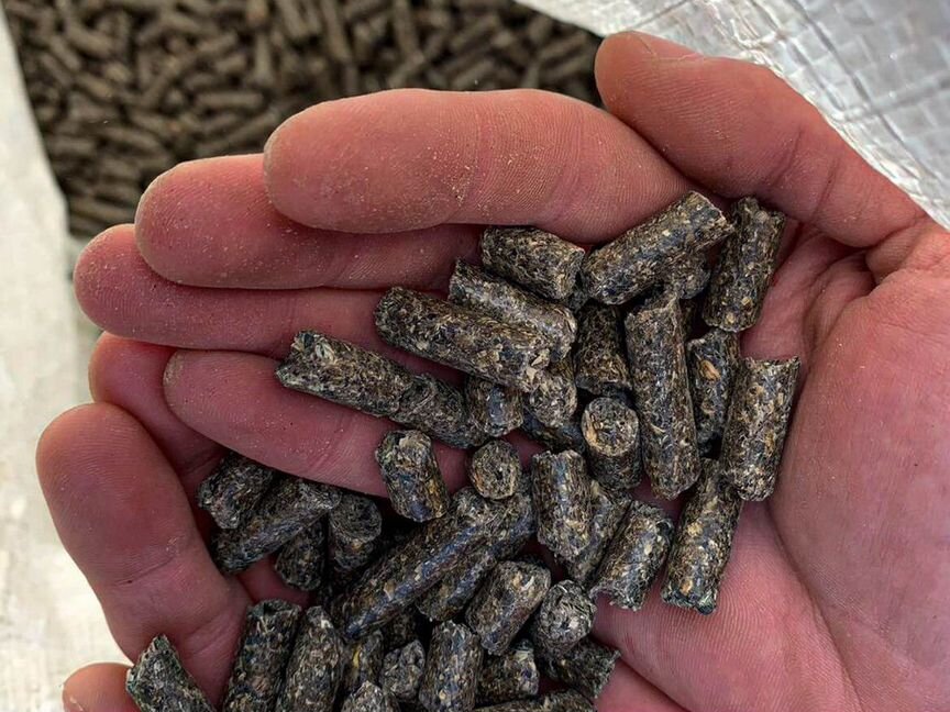 Шрот подсолнечный 39%