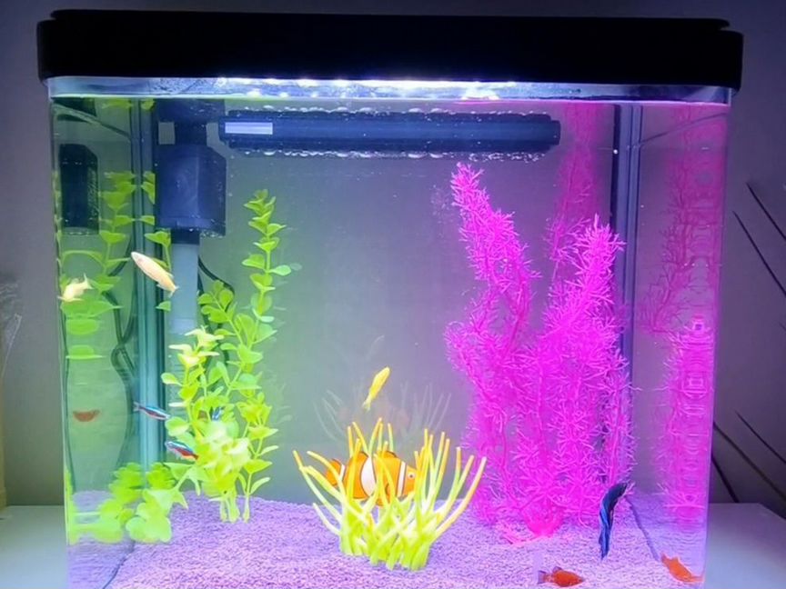 Аквариум и все для аквариума