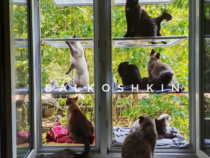 Антикошка балкон, кошачий балкончик, выгул на окно