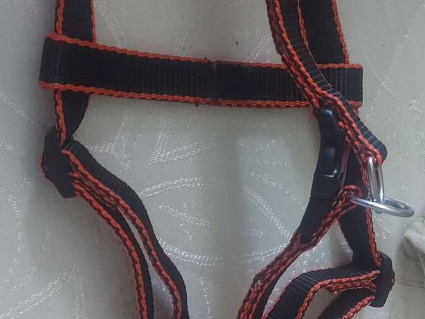 Аксессуары для животных