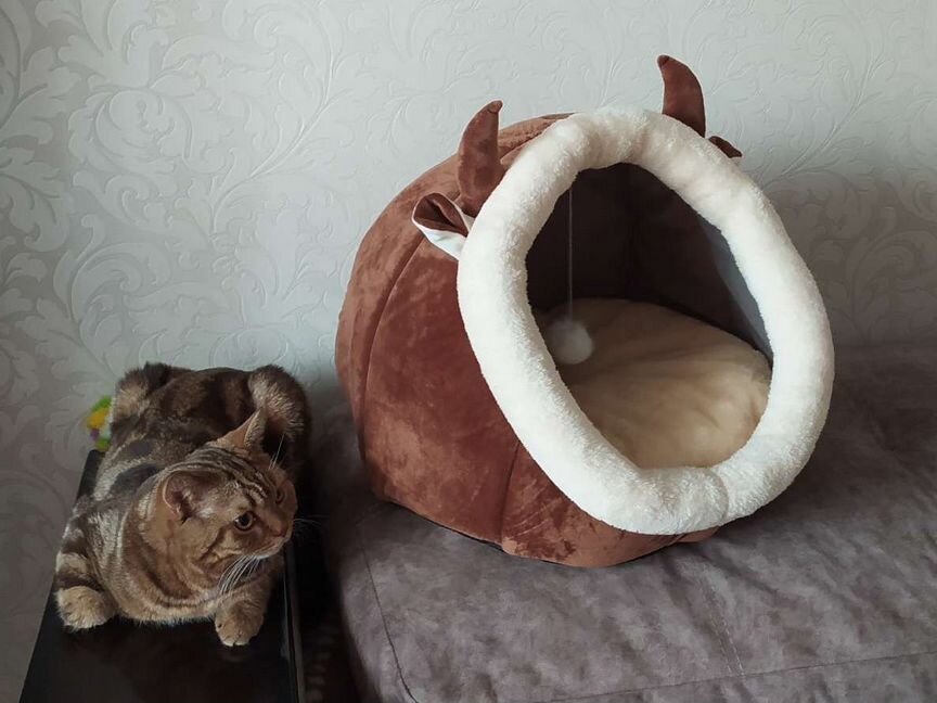 Домик для котика