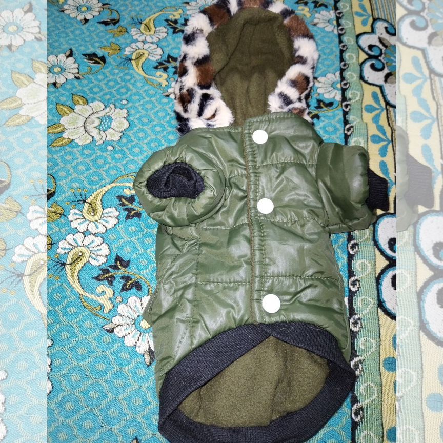 Одежда для маленьких собак м