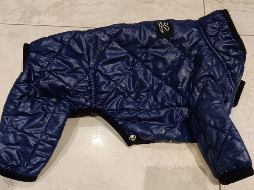 Одежда для маленьких собак