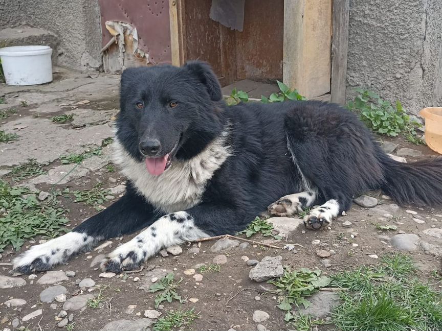 Мальчик 1 год очень воспитанный