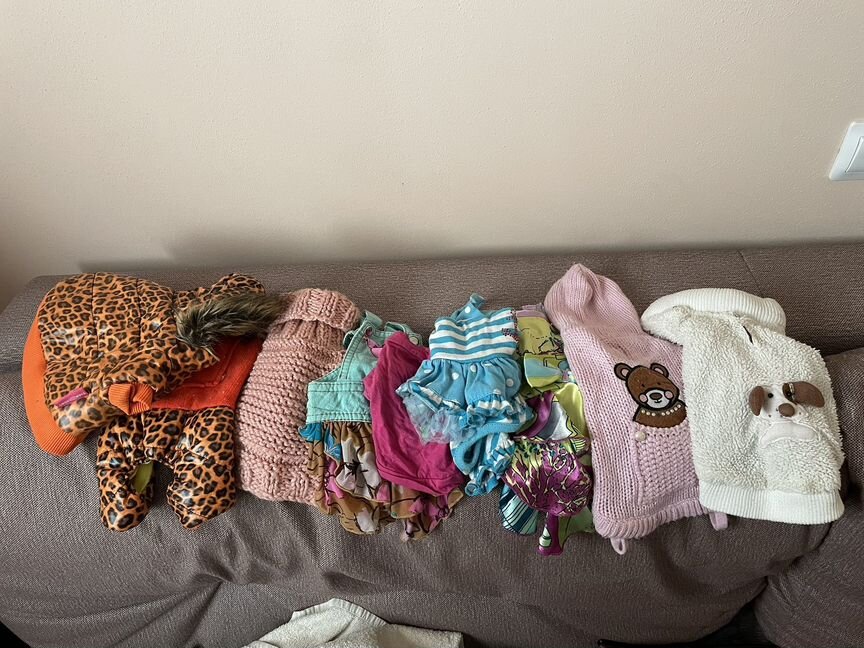 Вещи пакетом для мини собаки