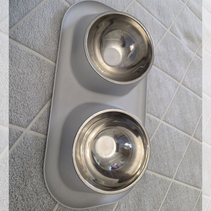 Миски для кошек