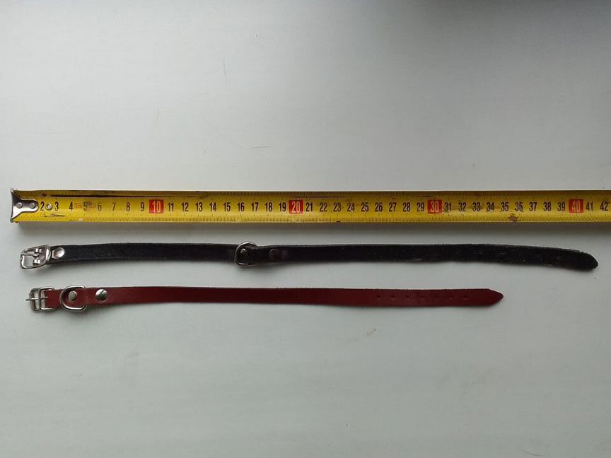 Ошейник для собак