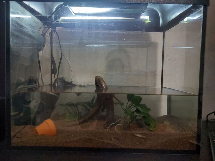 Аквариум 35 л и все к нему