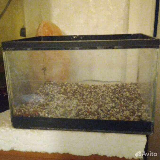 Аквариум 9л