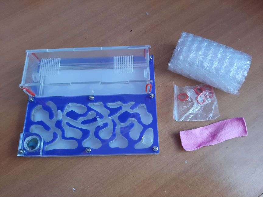 Муравьиная ферма