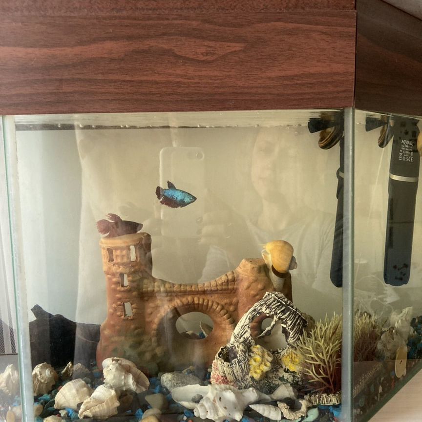 Готовый аквариум