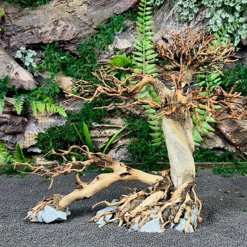 Коряга Бонсай бон118