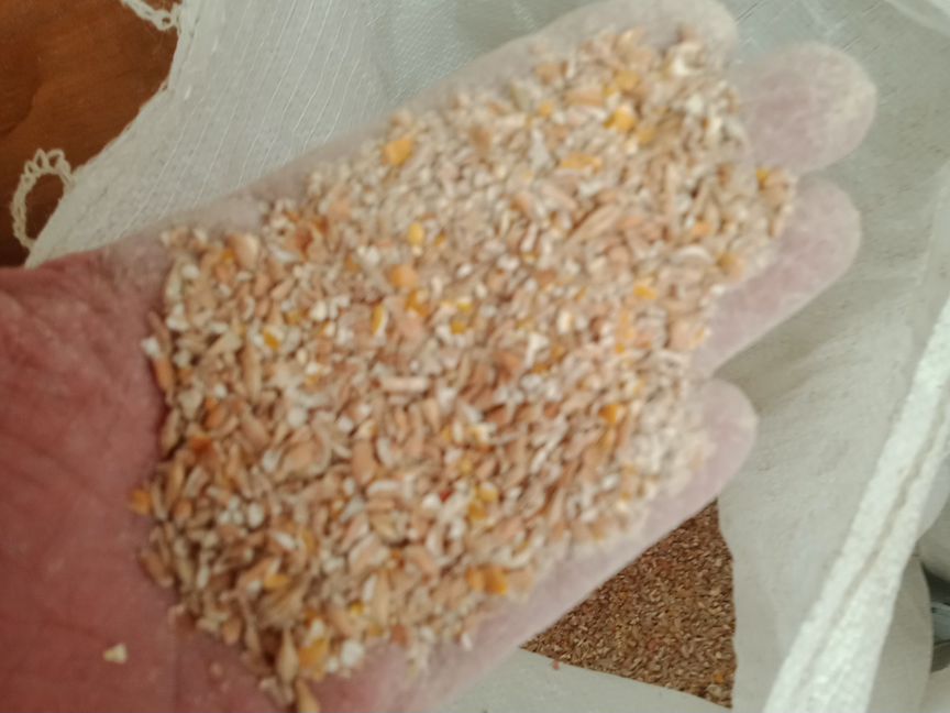 Дерть- зеносмесь