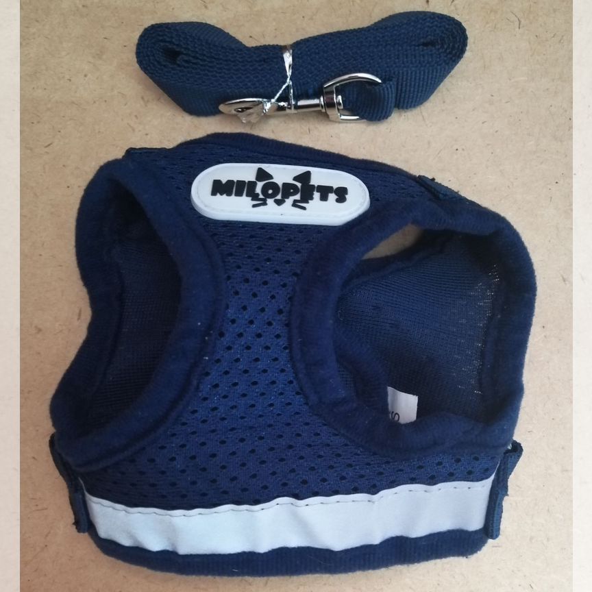 Шлейка для щенка или кошки