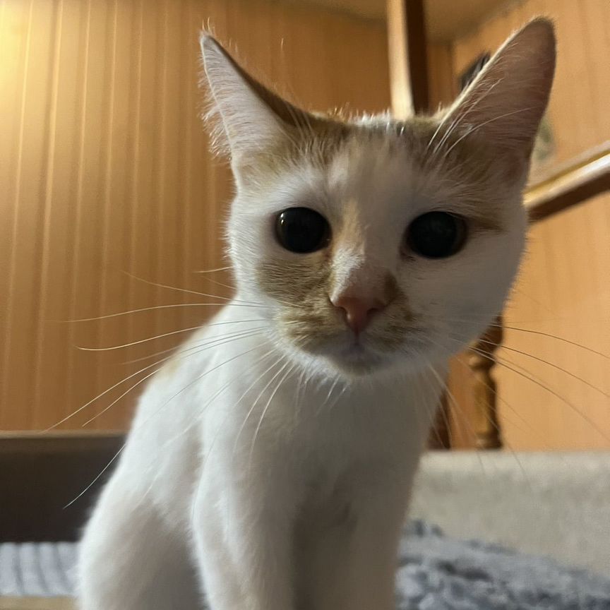 Возьми меня домой