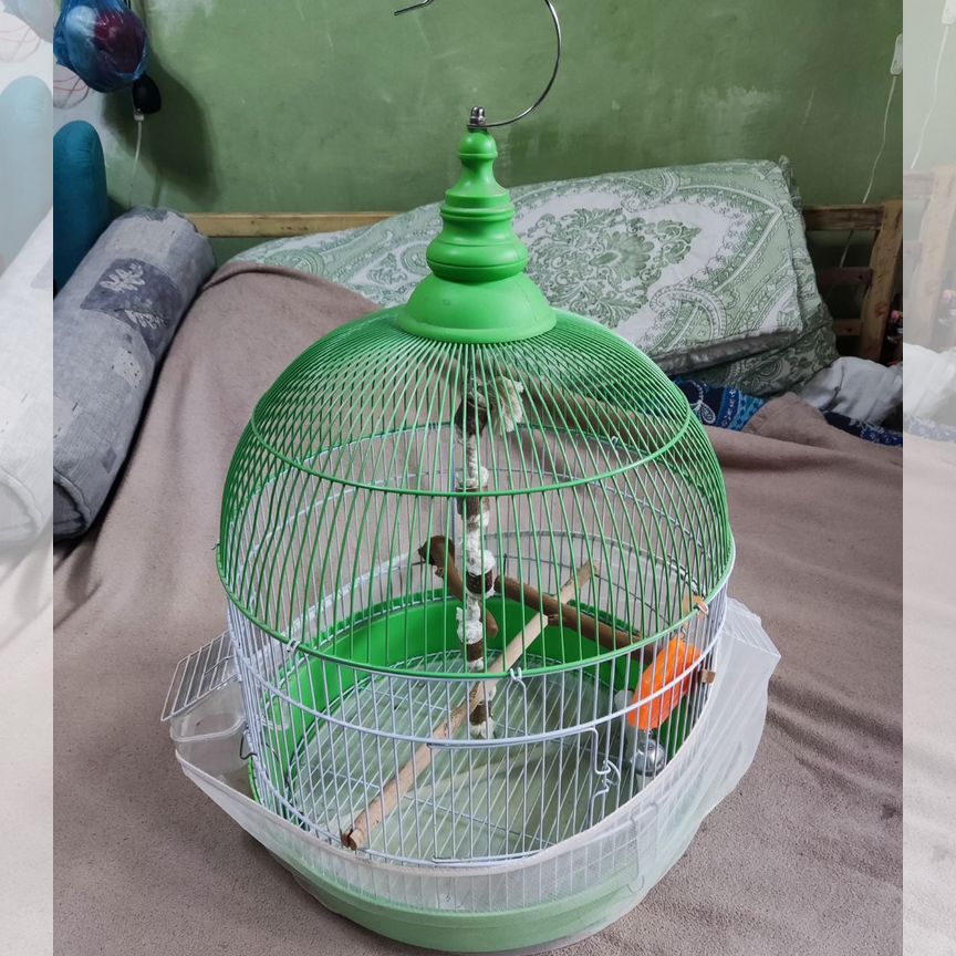 Клетка для птиц большая бу