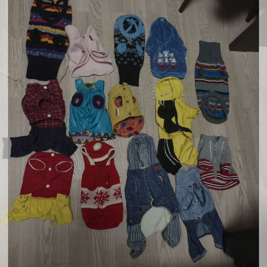 Одежда для собак маленьких пород