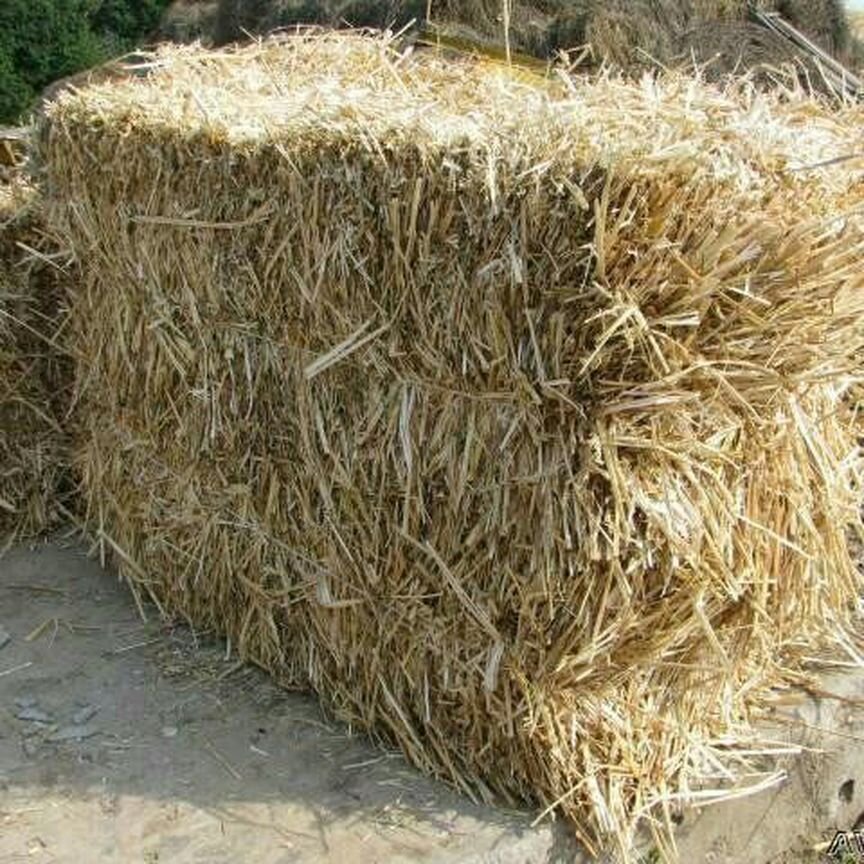 Сено в квадратных тюках горох