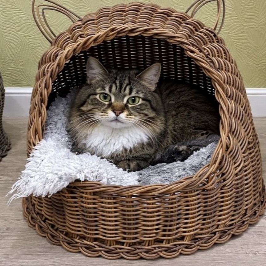 Домик-лежанка для животных