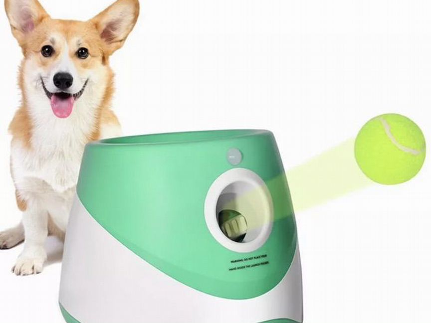 Интерактивная катапульта для собак