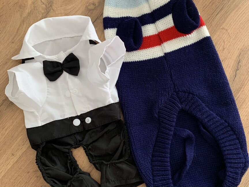 Одежда для кота или собаки