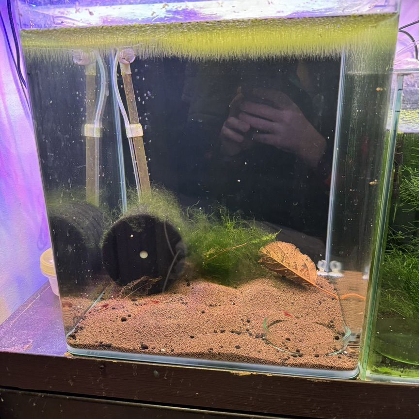 Аквариум с закругленными краями 49л