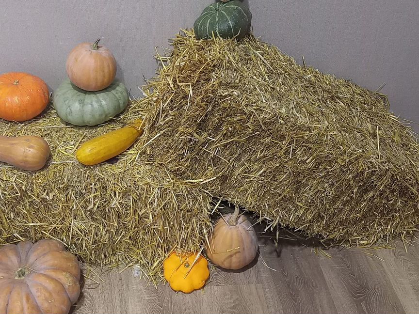 Солома в тюках