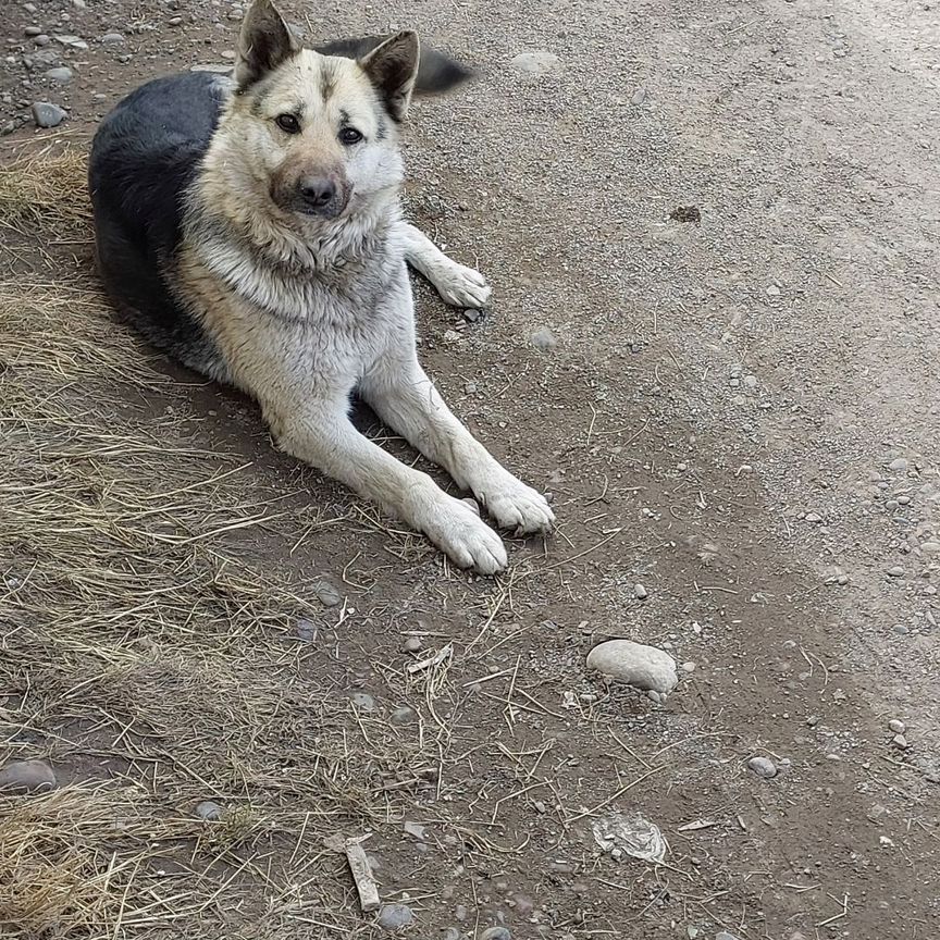 Парень ищет дом