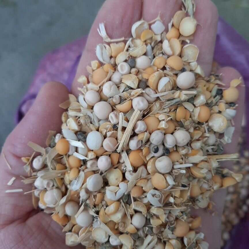 Сечка гороха. 7 тонн, 19руб