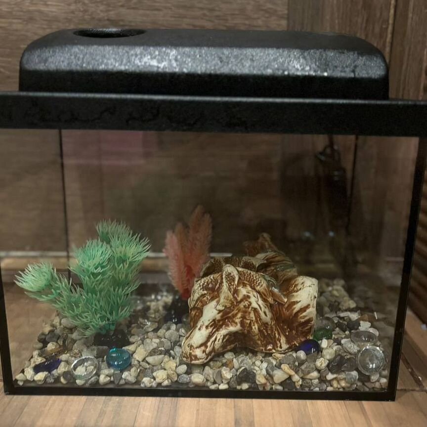 Аквариум 10 л