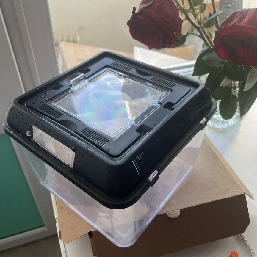 Террариум для змеи