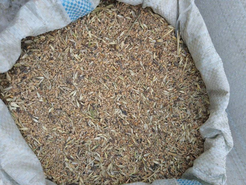 Зерноотходы