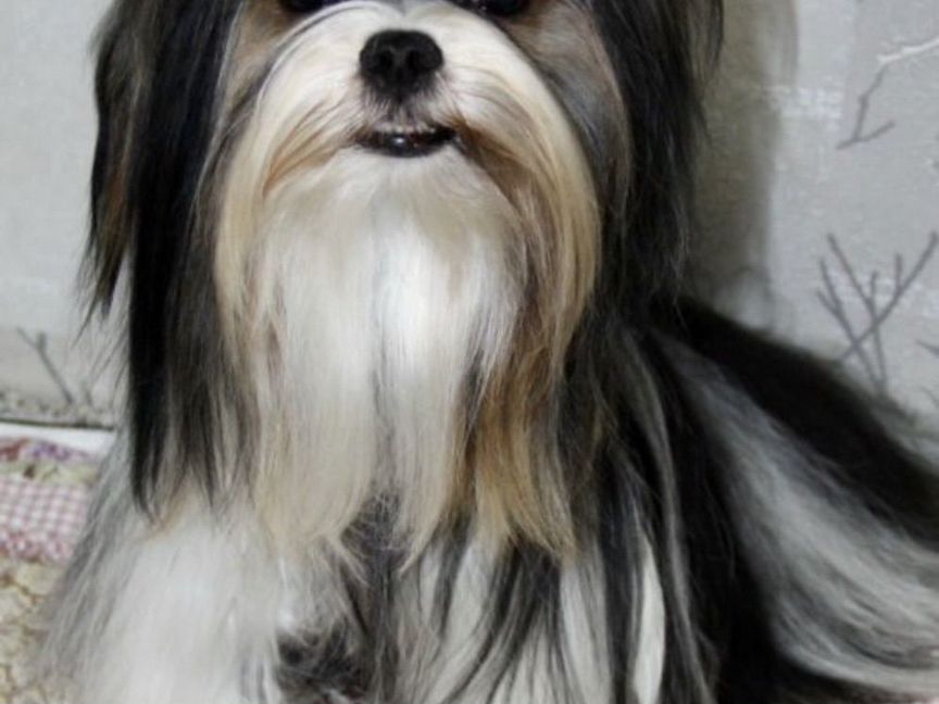 Мини бивер вязка