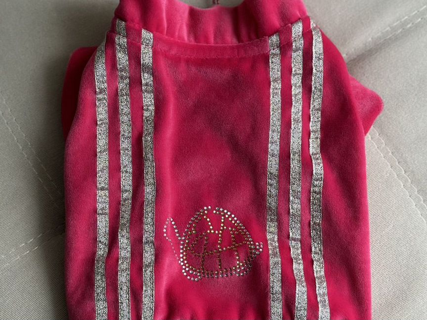 Одежда для собак мелких пород