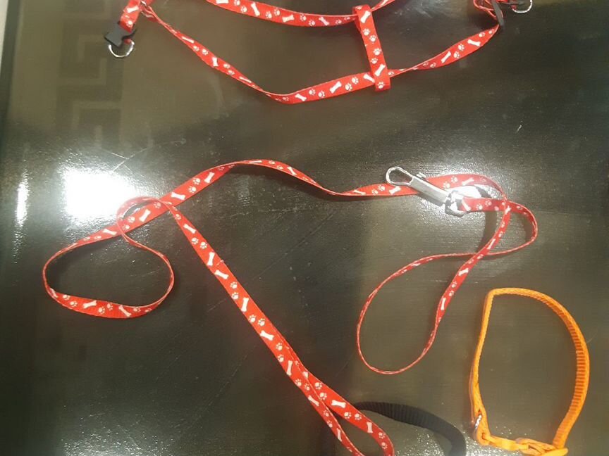 Шлейка для маленькой собаки или кошки