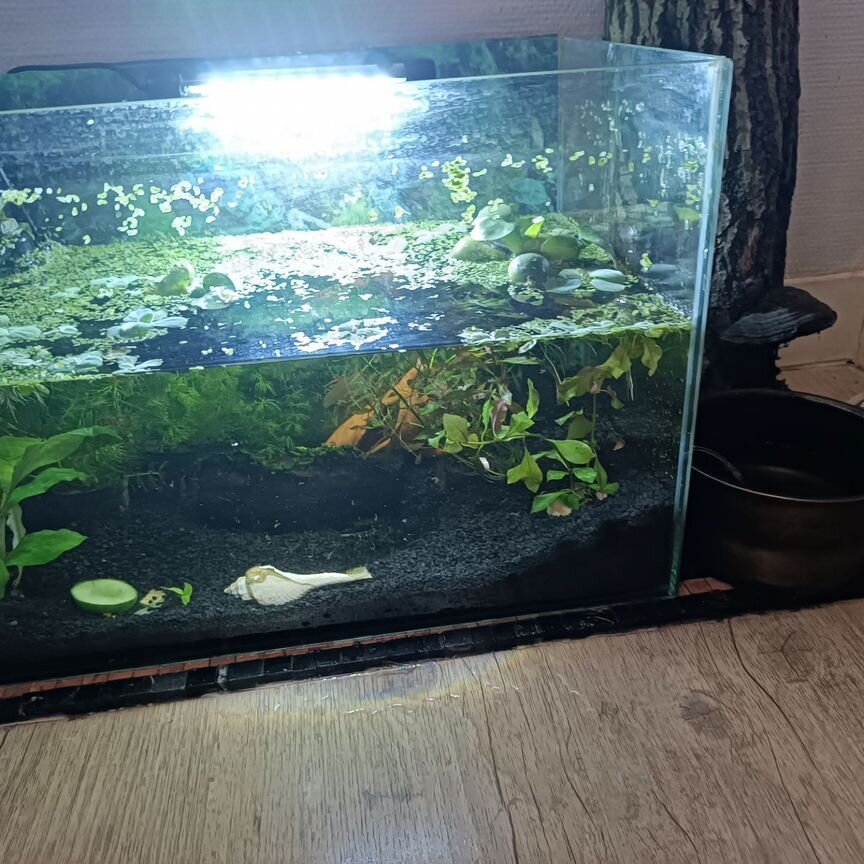 Продаю аквариум с фонтаном)