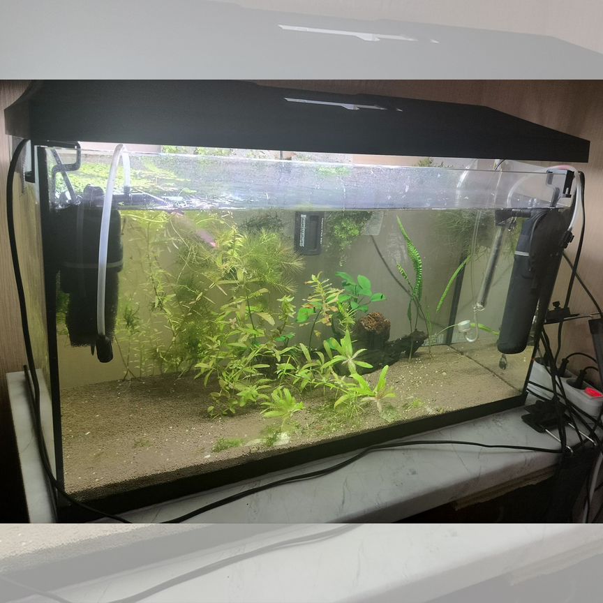 Аквариум 100 литров
