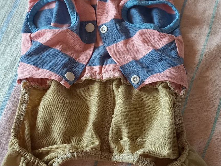 Одежда для кота. Цена за две