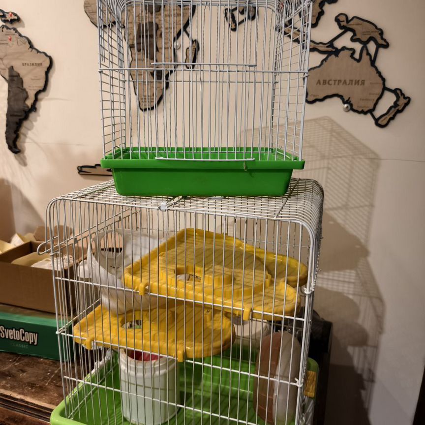Клетка для хомяка бу