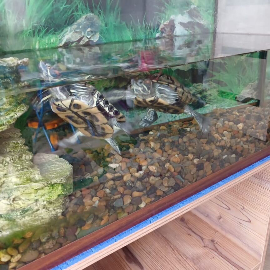 Аквариум с тумбой