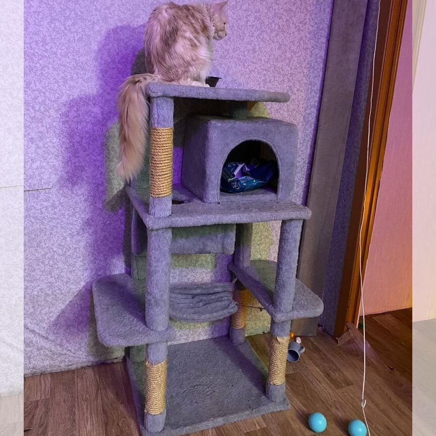 Домик для кошки с когтеточкой