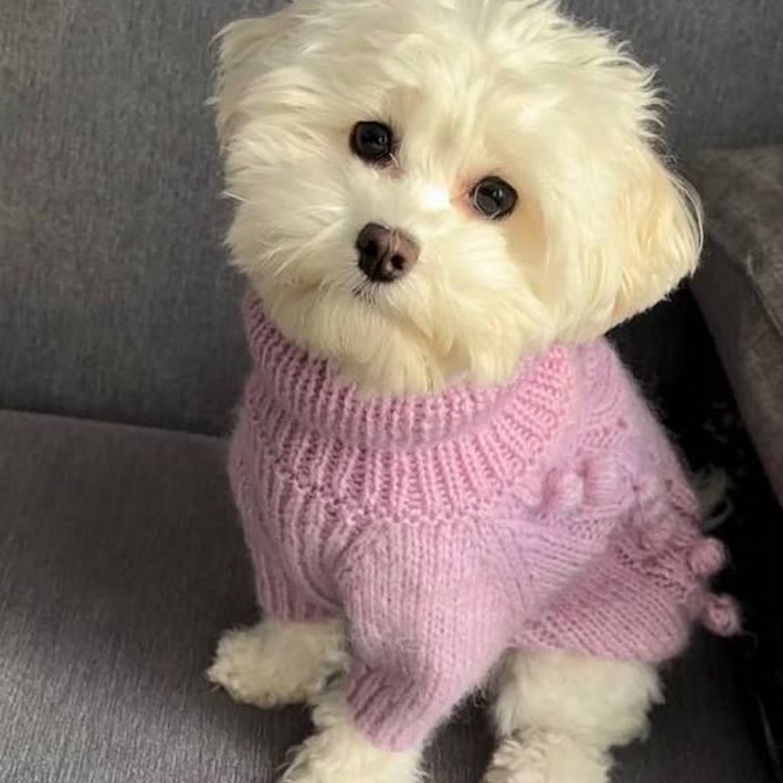 Вязанный свитер для собак и кошек
