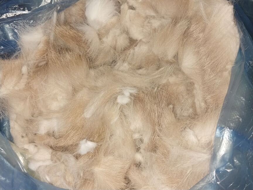 Кошачья шерсть