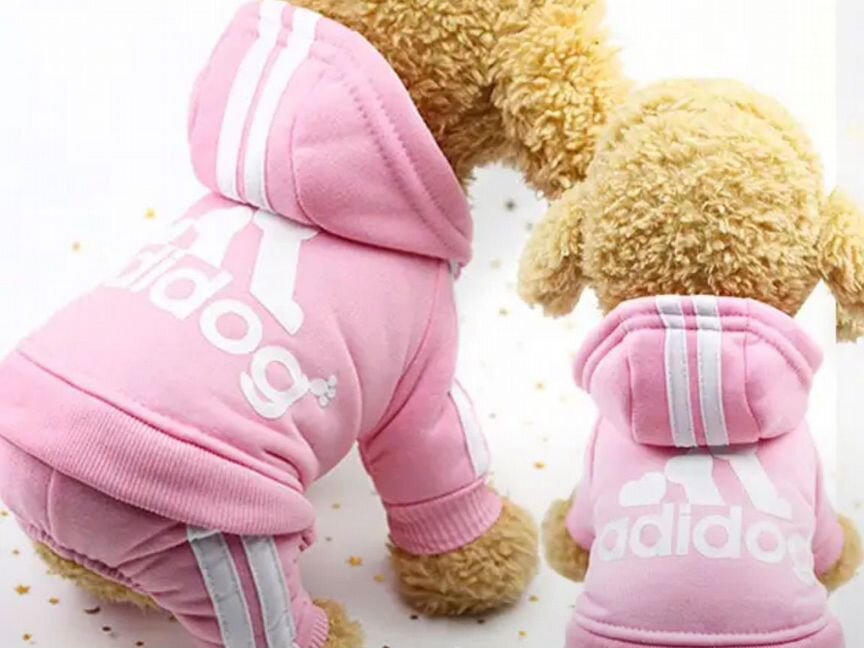 Комбинезон для собаки Adidog