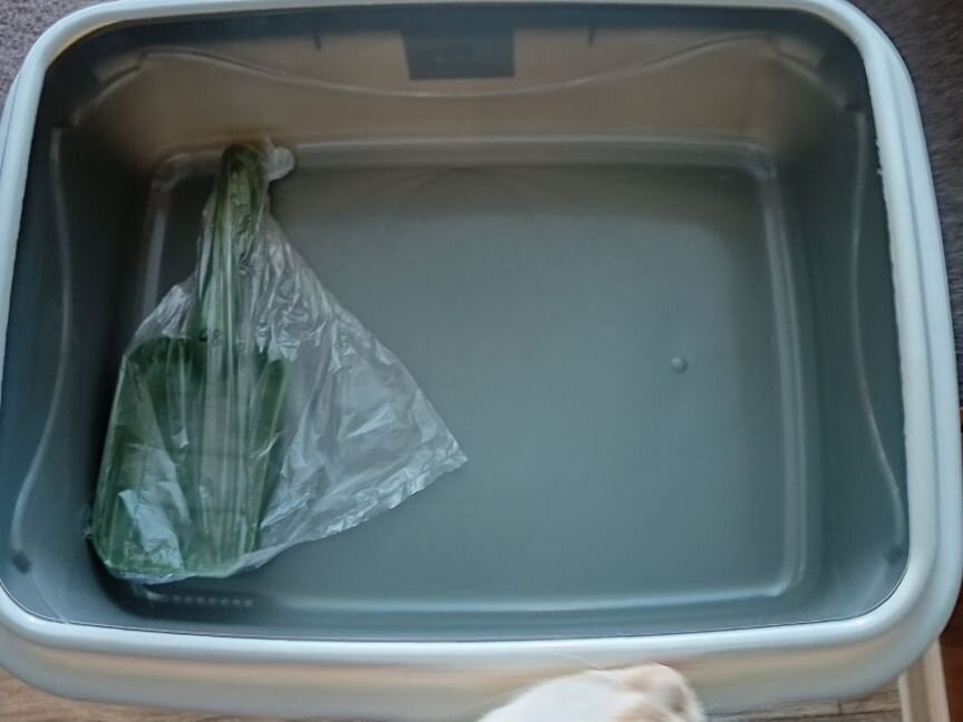 Лоток для кошек с бортами большой