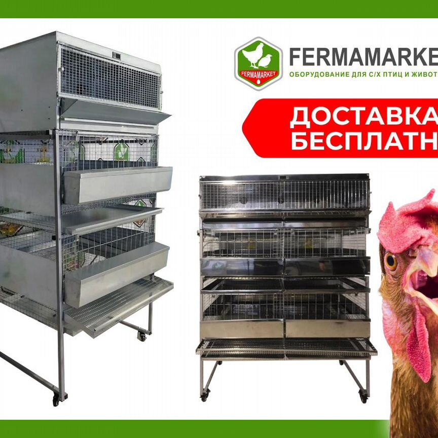 Клетки бройлеров, кур-несушек Лермонтов
