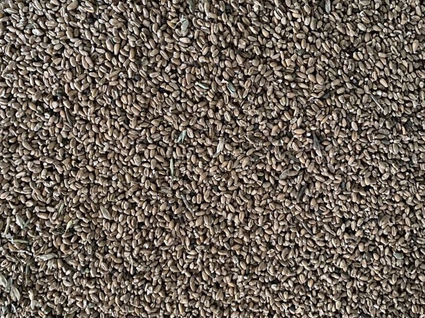 Пшеничные отходы