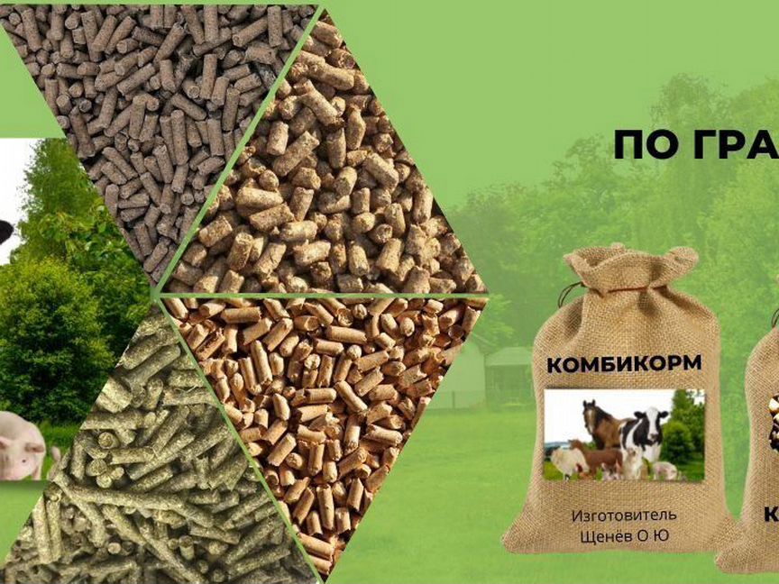 Гранулированный корм