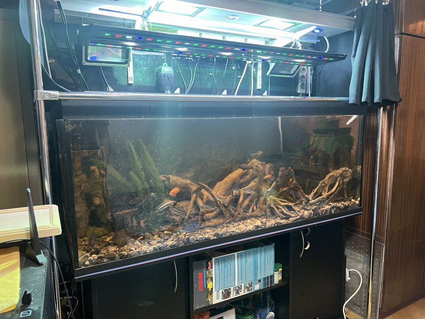 Аквариум с рыбками 450 литров в полном комплекте